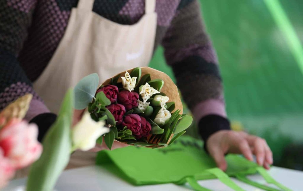 Bloomia Tulip Farm in Rawsonville - Welcome to Rawsonville House